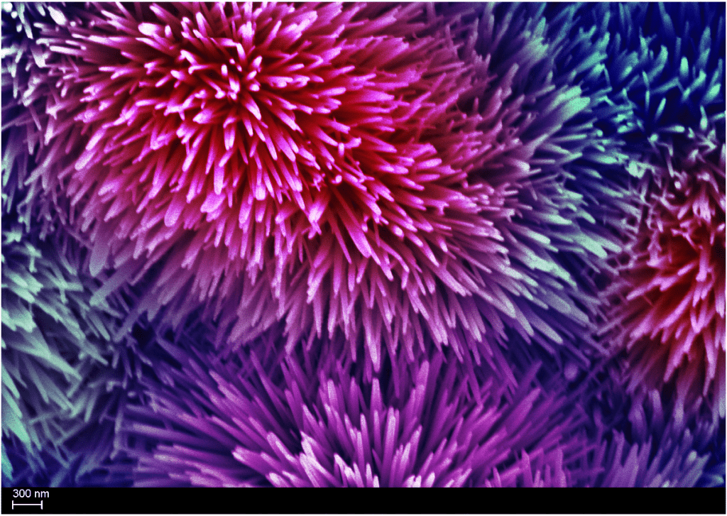 Publications – Zhang Group @ NUS